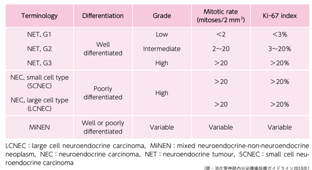 毎年、胃カメラを受けていたのに… » 消化管道場